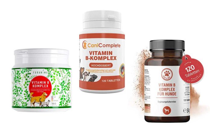 Tierischehelden » Alles für dein Haustier - Hund, Katze & Co